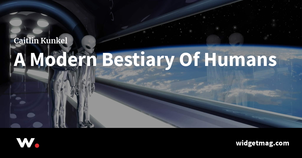 A Modern Bestiary Of Humans by Caitlin Kunkel – Widget – a funny website